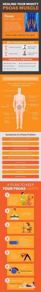 A Weak Psoas Muscle Could Be The Basis For Back Pain | El Paso Back ...