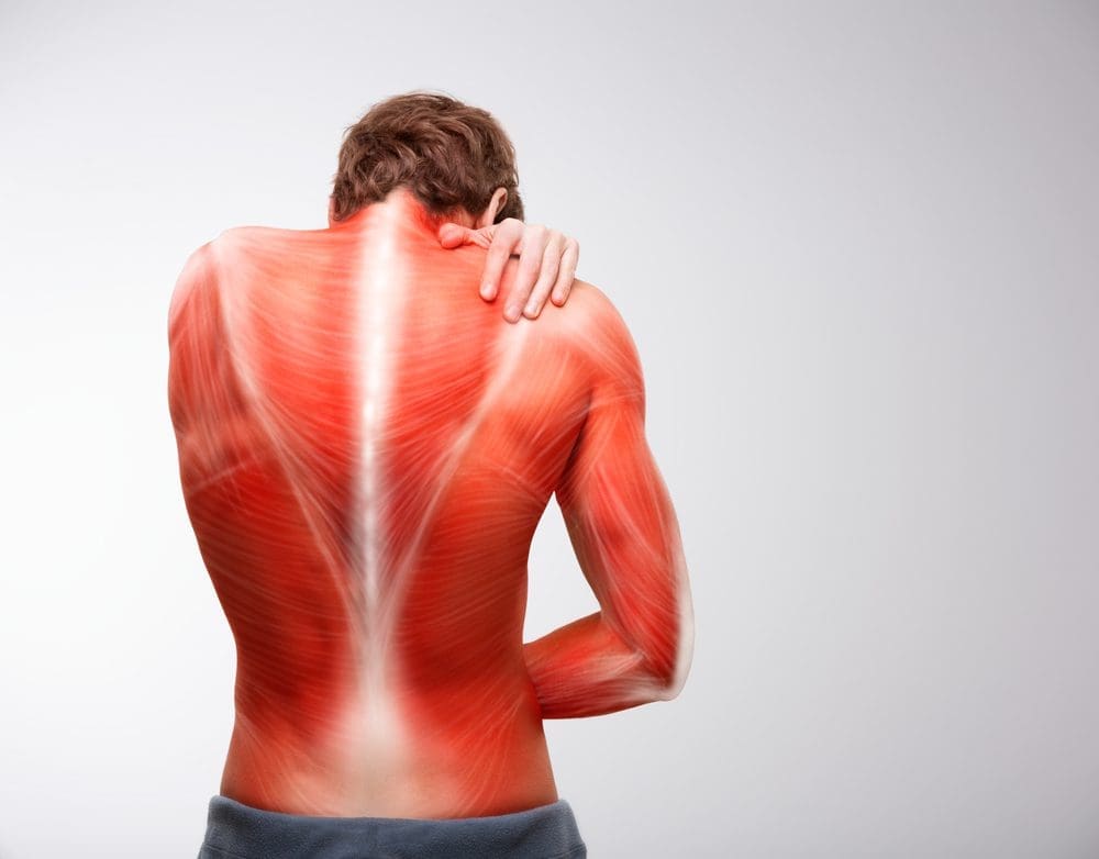 Muscle Inflammation Relieved By The MET Technique - El Paso Back Clinic ...